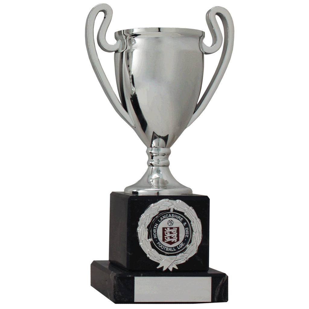 Silver Football Cup Trophy with a Marble Base | Prime Trophies