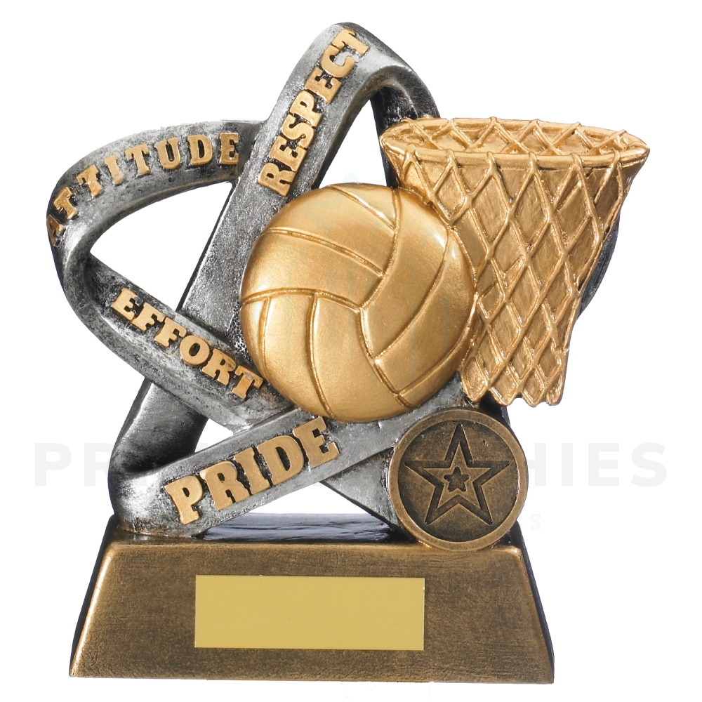 Twirl Team Star Netball Trophy | Prime Trophies