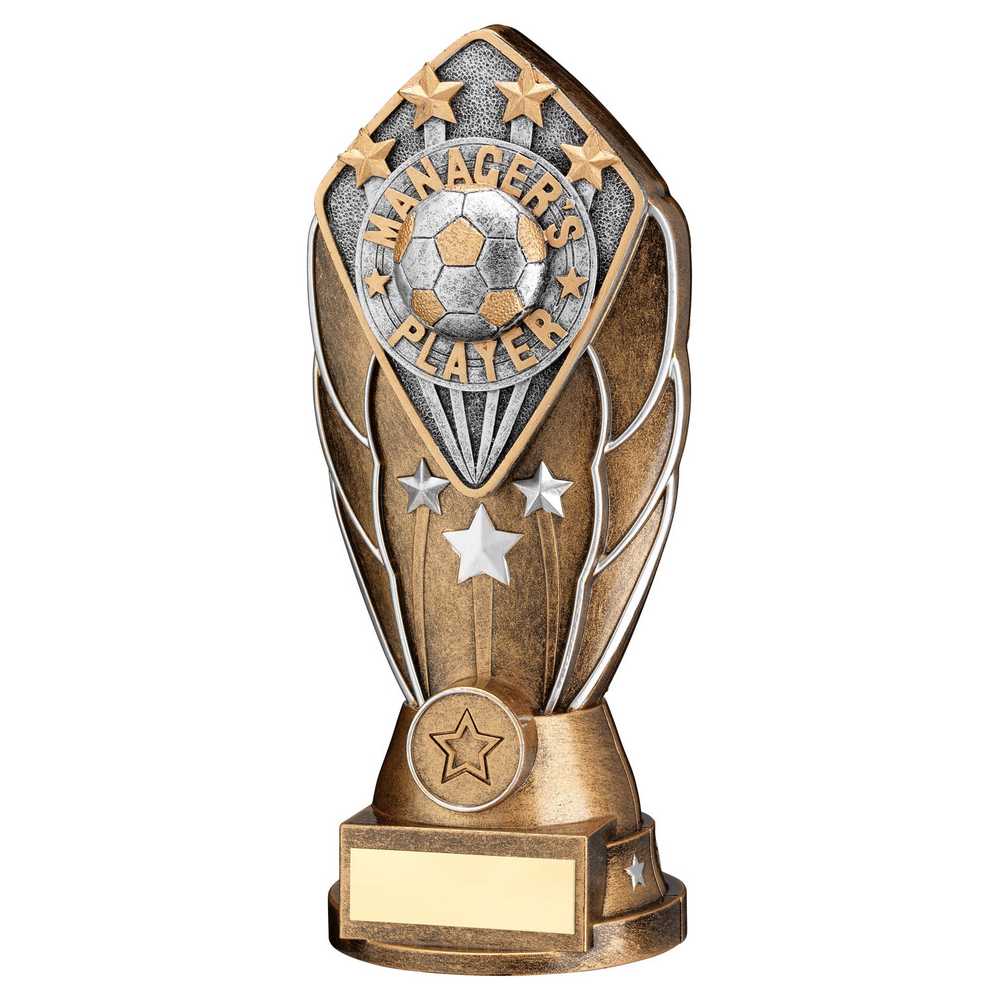 Managers Player Diamond Trophy | Prime Trophies